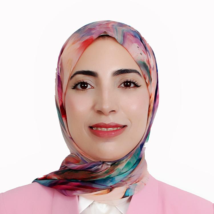 Manal Chetouani | Complex Infrastructure Systems